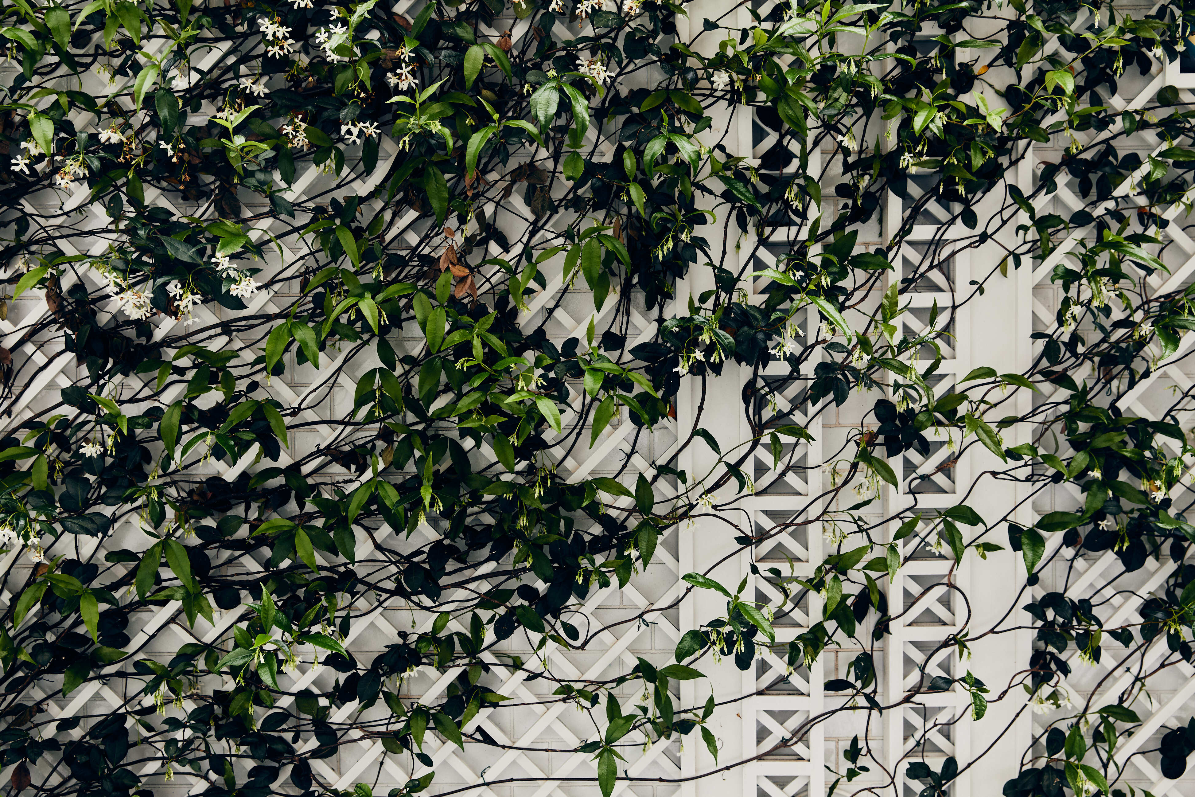 ~ Restaurant Sloane Square | ...At Sloane | Culinary Excellence in…